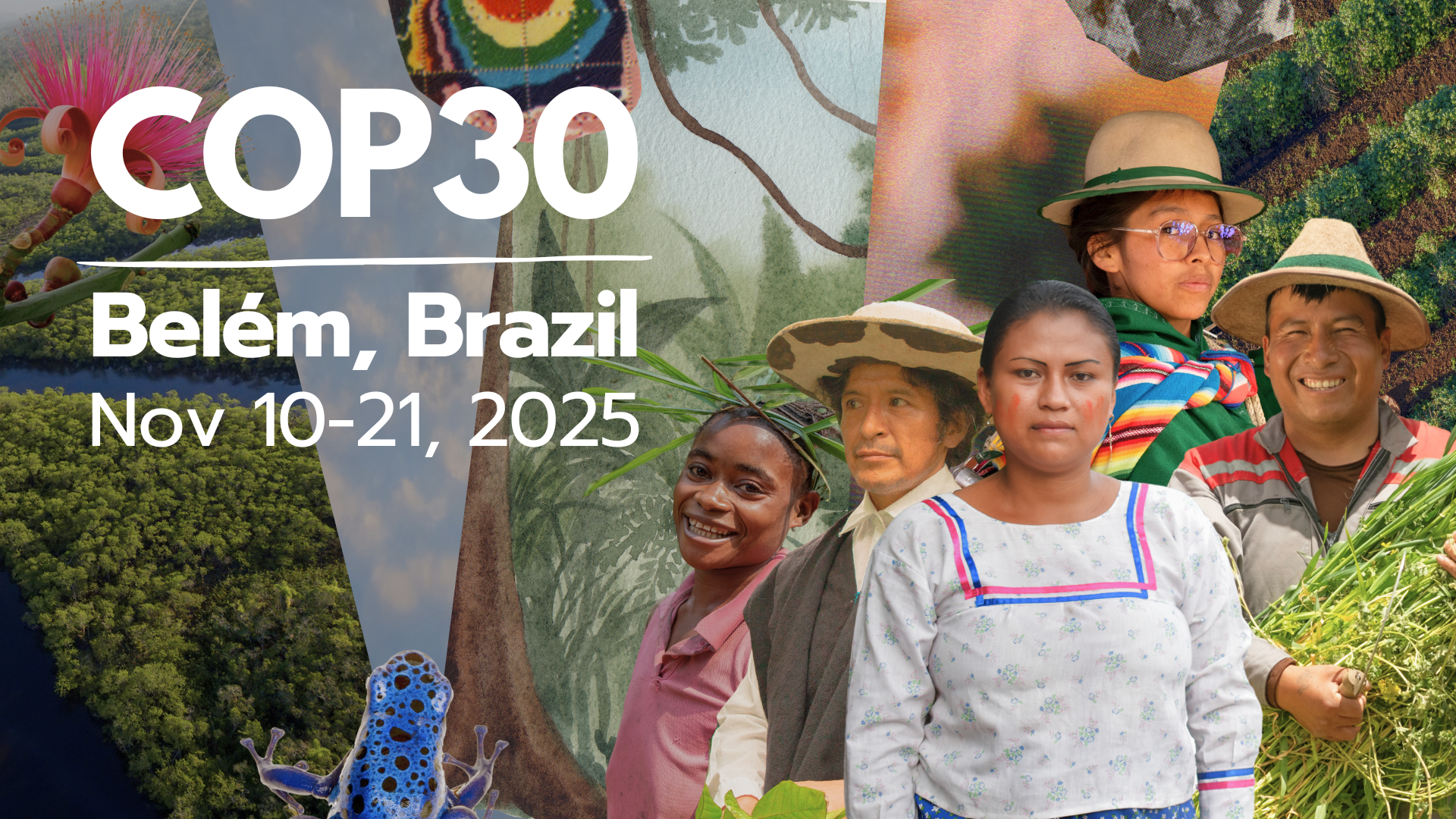 COP30: The UN Climate Change Conference | UNDP Climate Promise